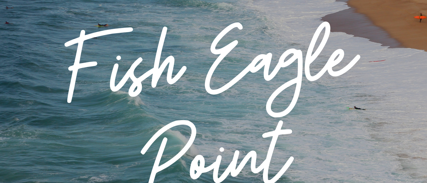 Fish Eagle Point - Braeburn International School Arusha